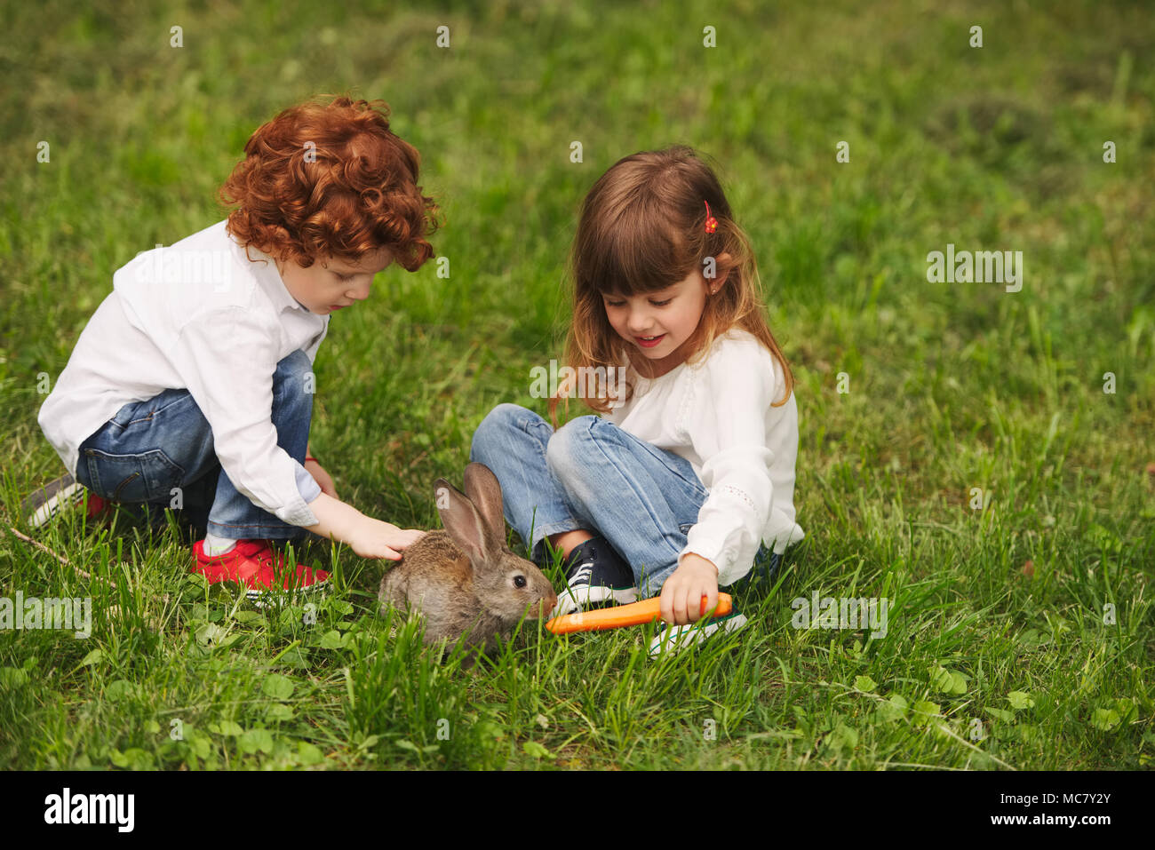 little boy and girl playing with rabbit in park Stock Photo - Alamy