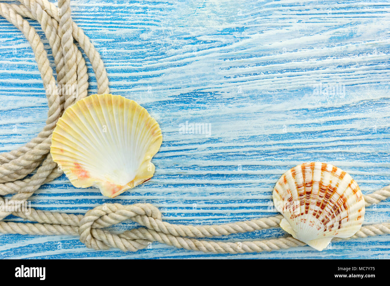 summer background. seashells and marine rope on blue wooden boards with ...