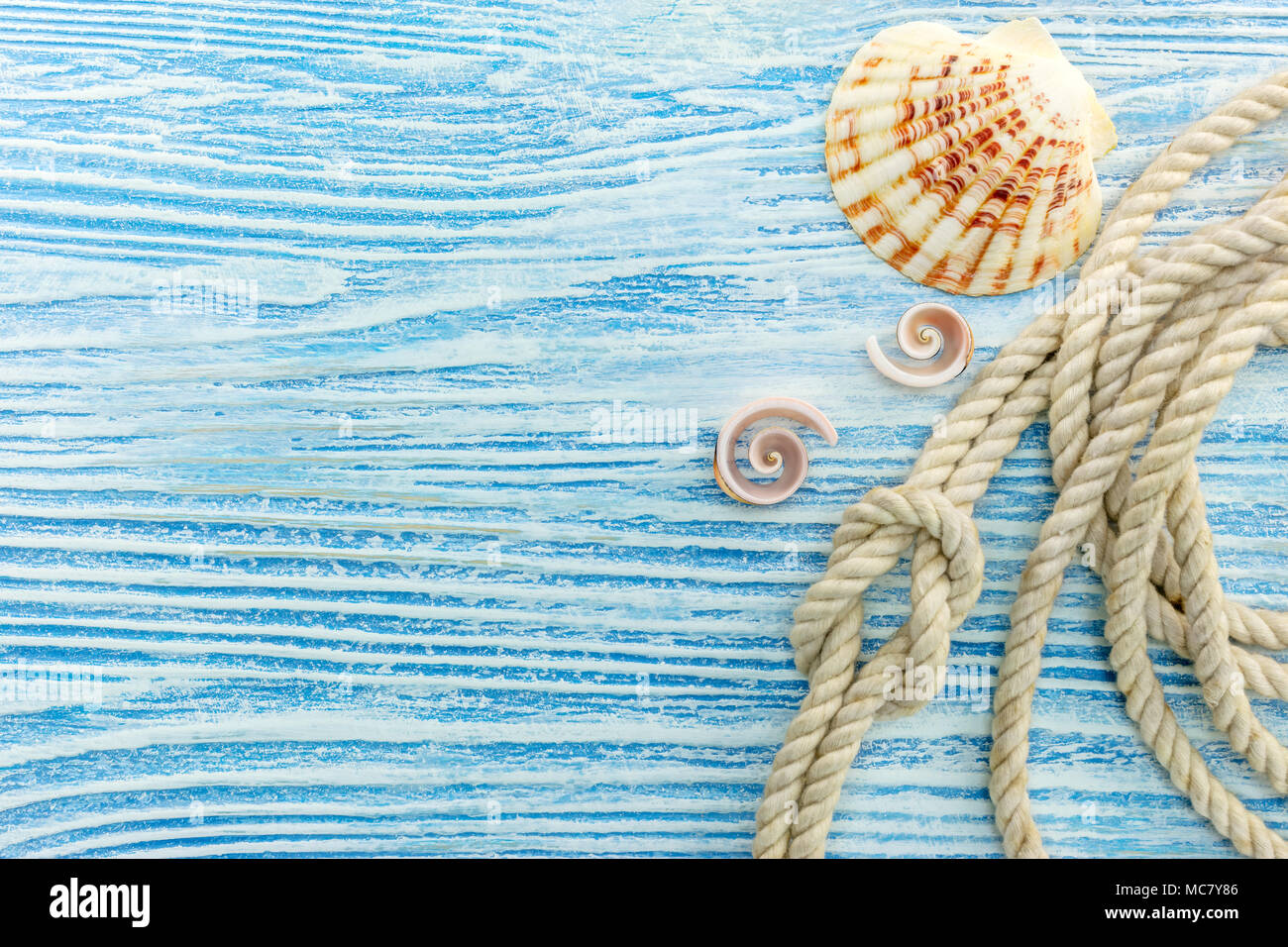 marine rope, seashells and conch on blue wooden background with copy ...
