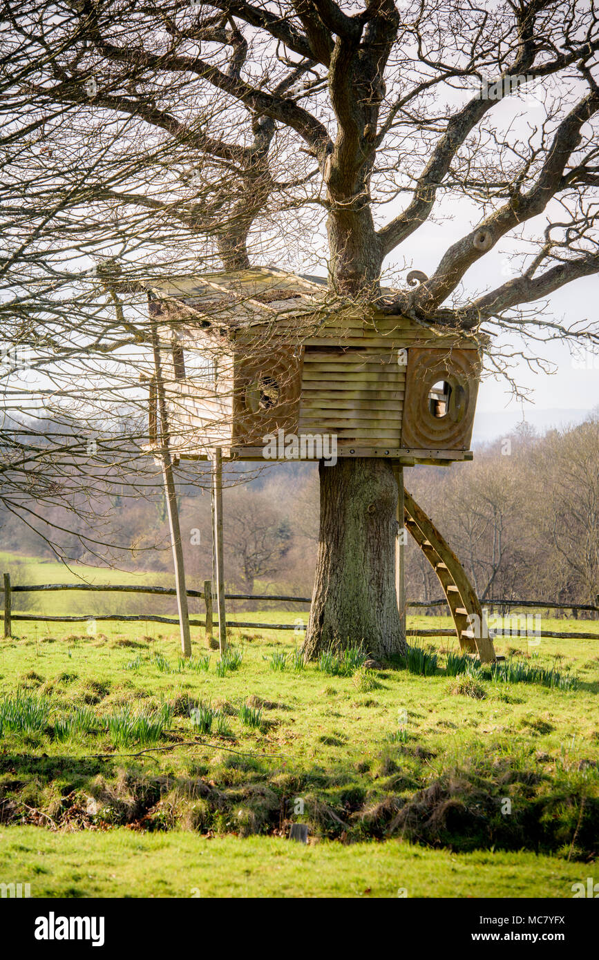 An elaborate treehouse with curved steps sitting high up with great ...