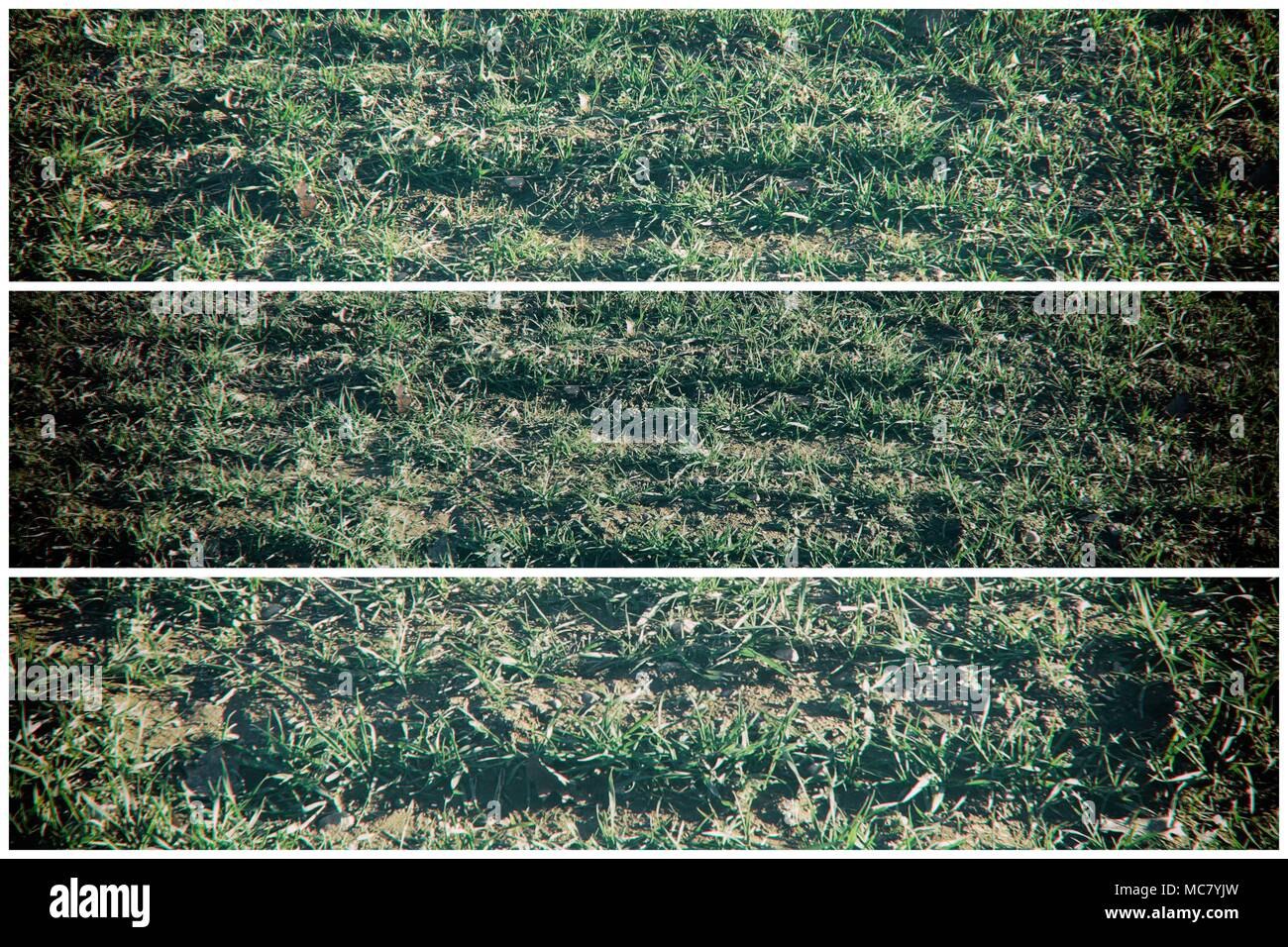 Palatable grass hi-res stock photography and images - Alamy