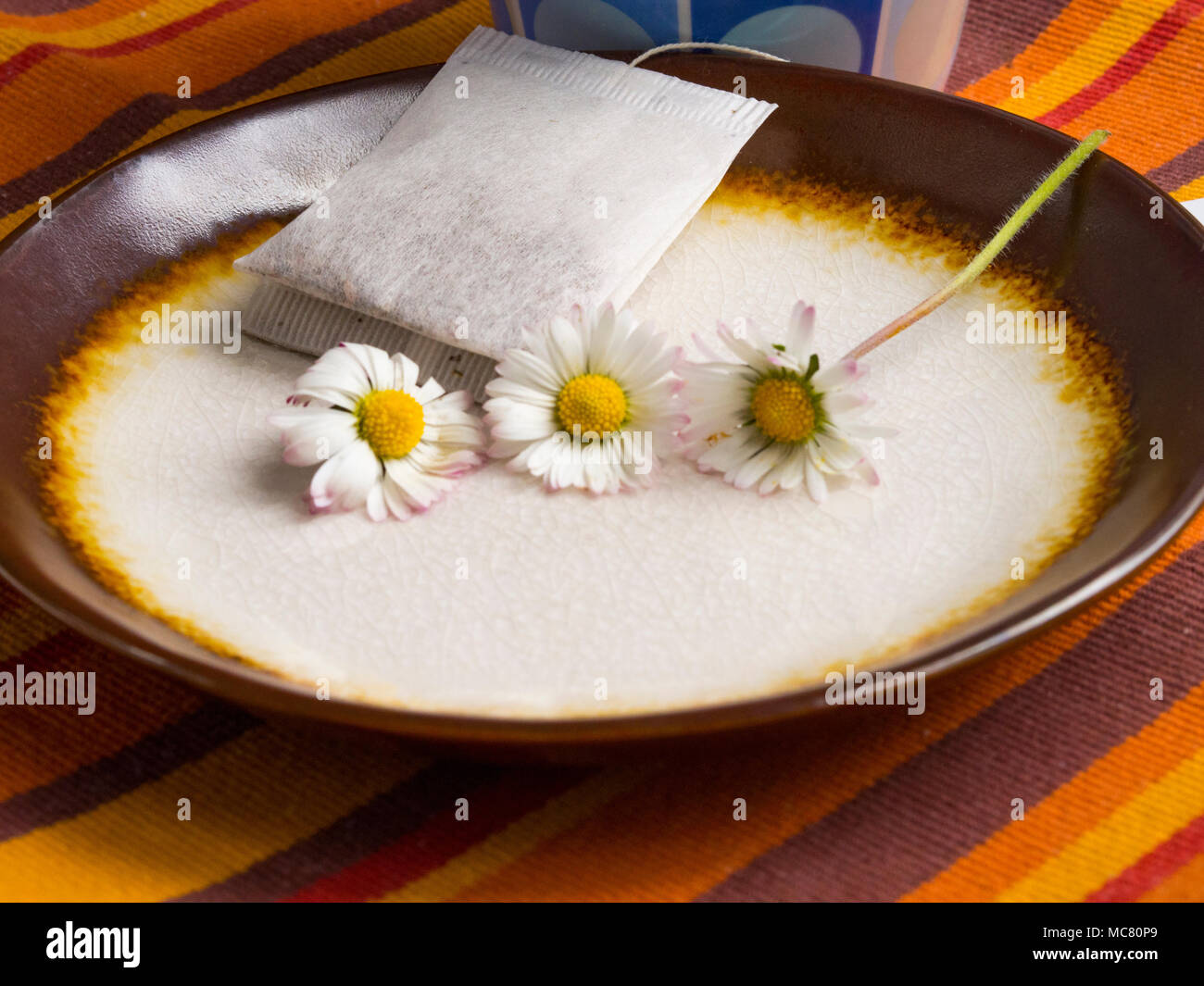 Teabag in a plate with daysies Stock Photo - Alamy