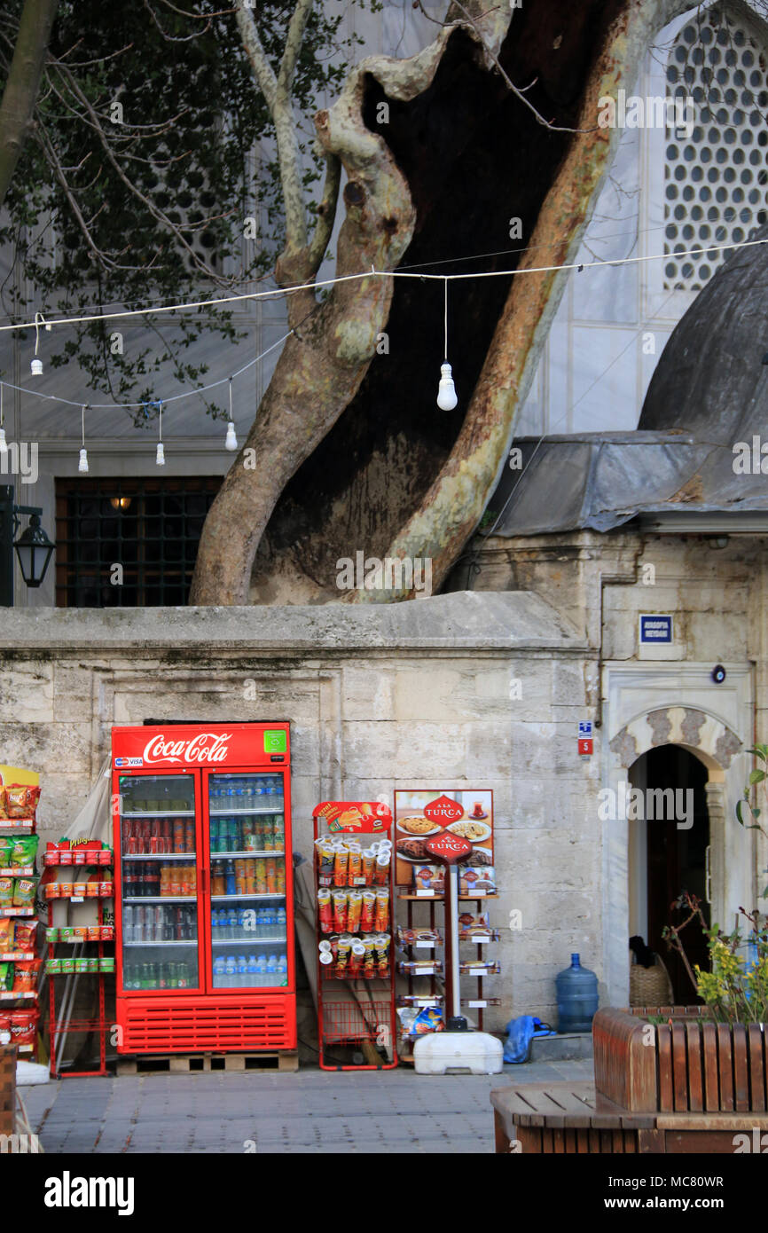 Cola tree hi-res stock photography and images - Alamy
