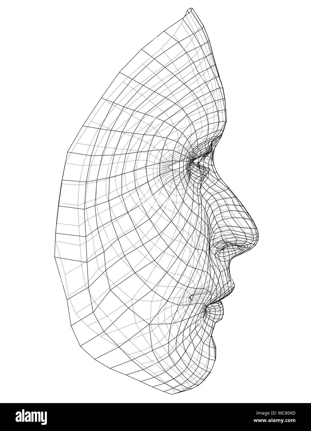 Wire-frame abstract human face Stock Vector Image & Art - Alamy