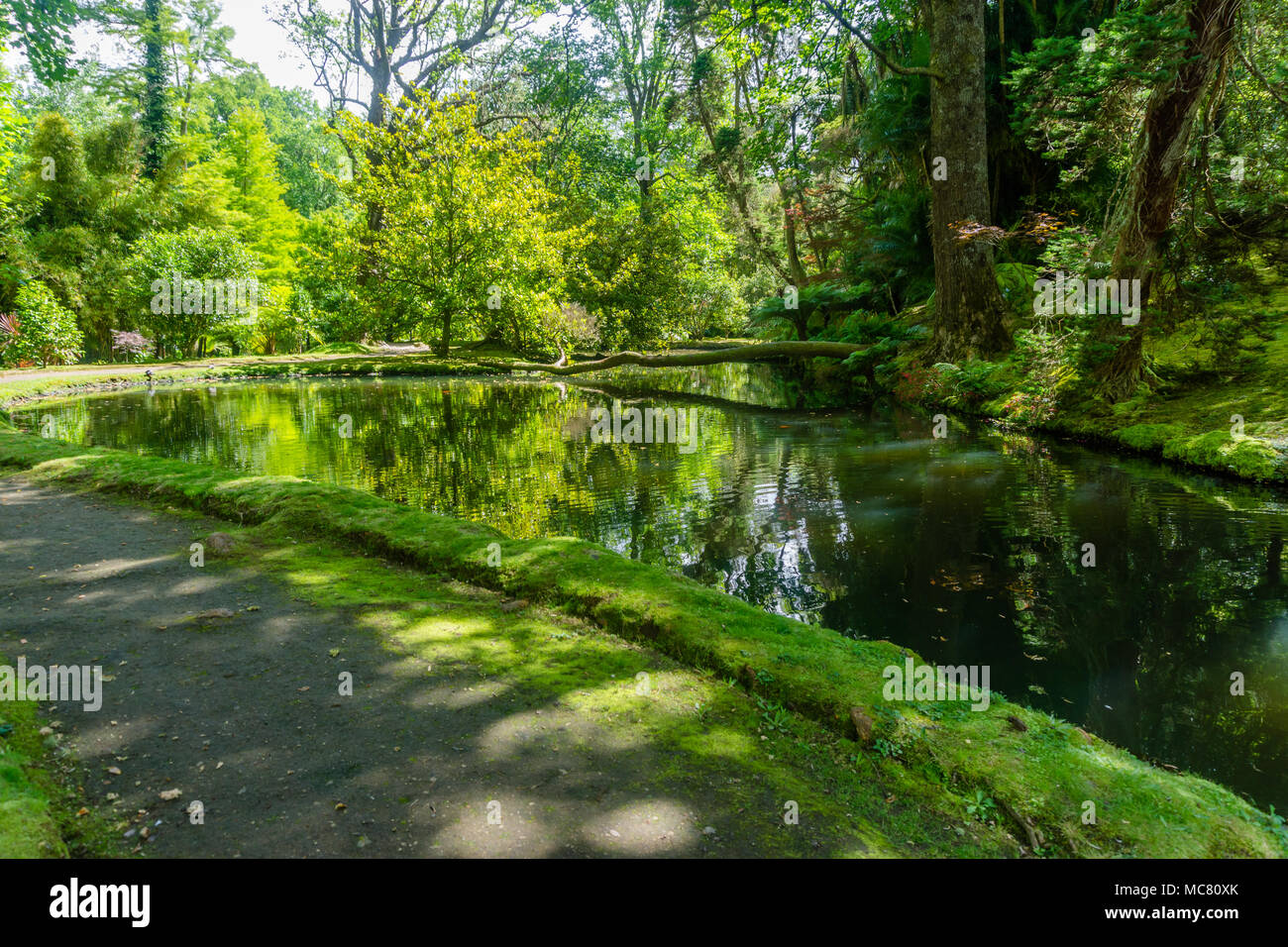 Visit azores hi-res stock photography and images - Alamy