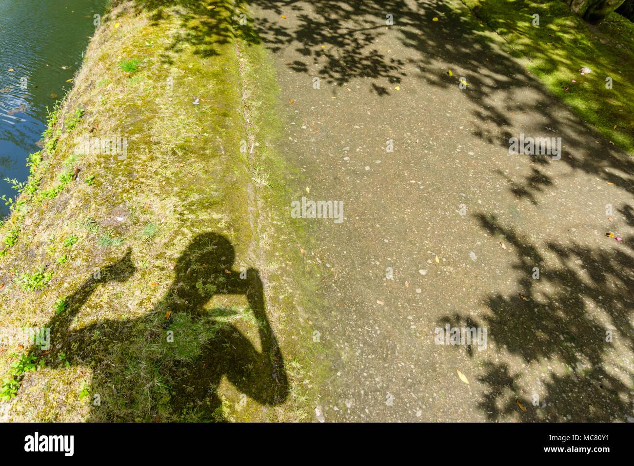 Man shadow on dry field hi-res stock photography and images - Alamy