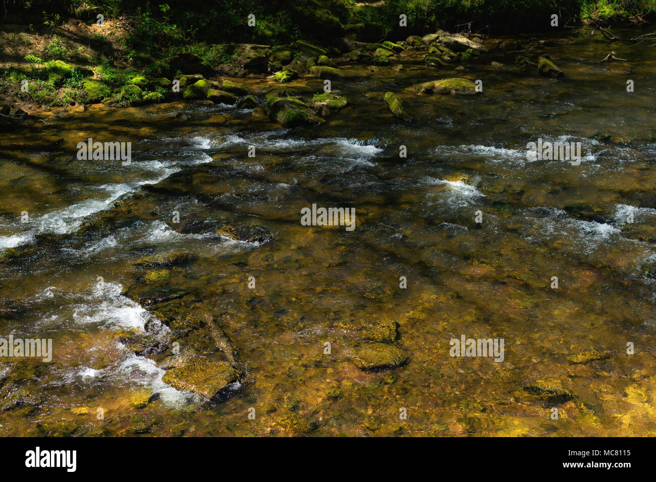 A clear running stream in northern Alabama Stock Photo - Alamy