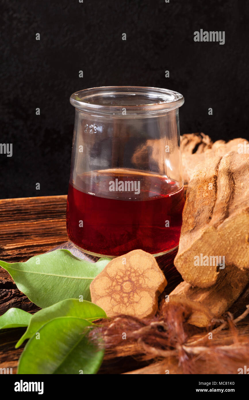 Ayahuasca ingredients and brew. Shamanic entheogen psychoactive plant ...