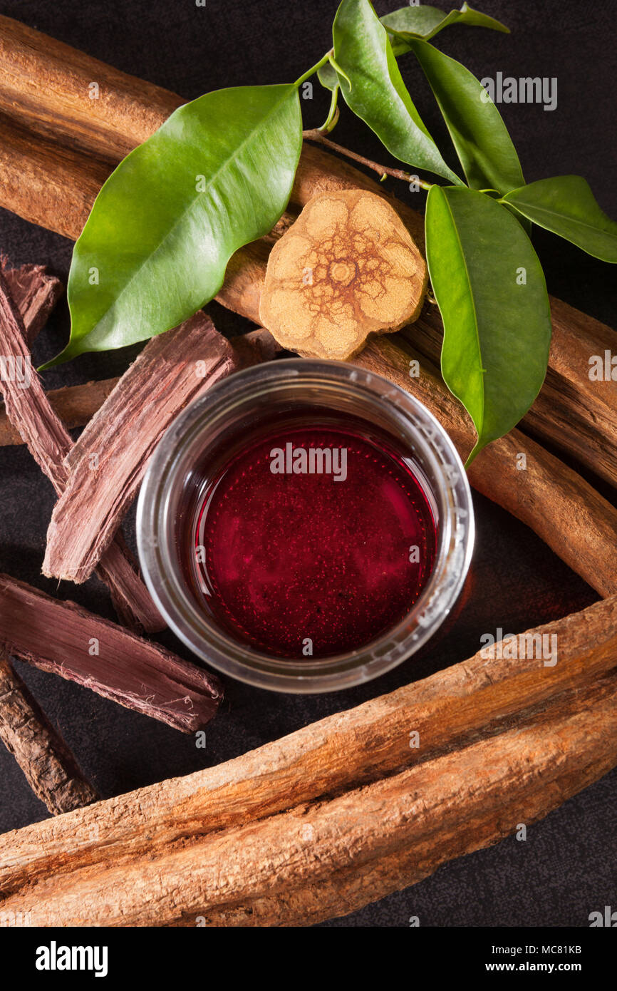 Ayahuasca ingredients and brew. Shamanic entheogen psychoactive plant ...