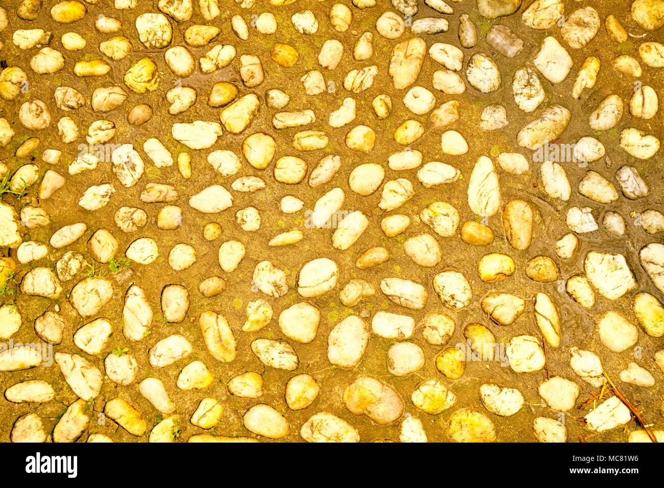 Ultra orange Stone texture, rock surface level, pebble background for ...