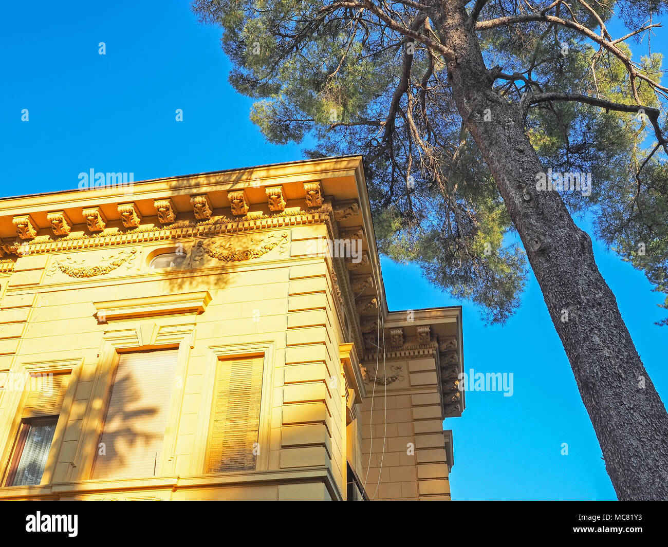 Old yellow building with tree in Opatija, Croatia Stock Photo - Alamy