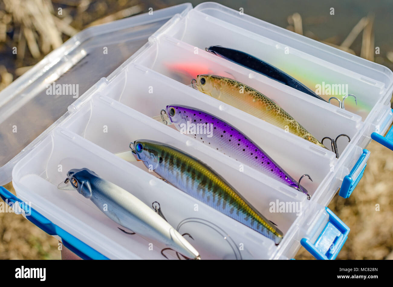 Wobblers for predatory fish Stock Photo - Alamy