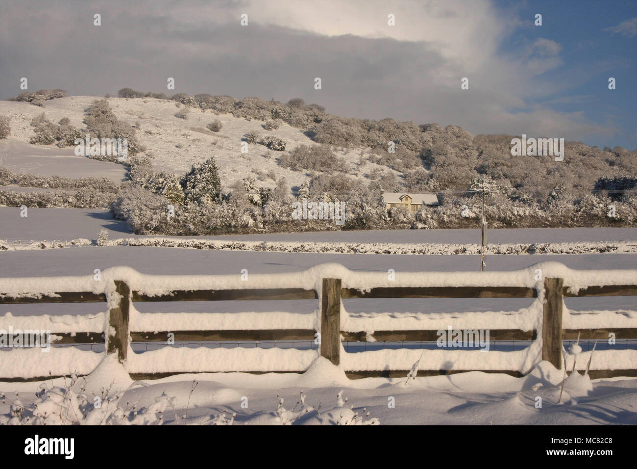Snow covered trees and fields in Llanishen, Cardiff, South Wales, UK ...