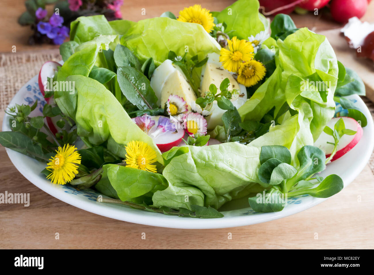 Spring salad with coltsfoot, young dandelion leaves, daisies and other ...