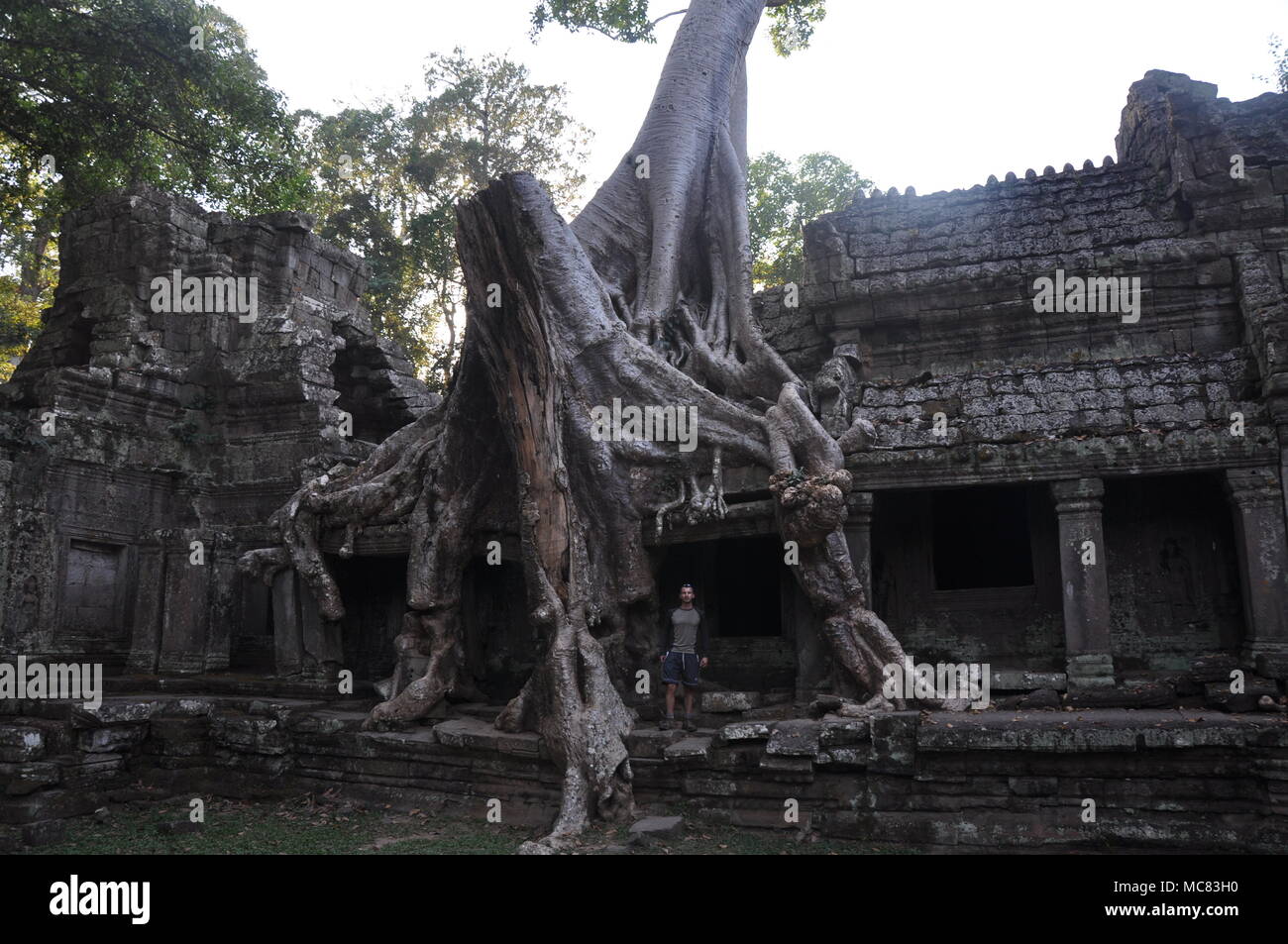 Angkor wat features hi-res stock photography and images - Alamy