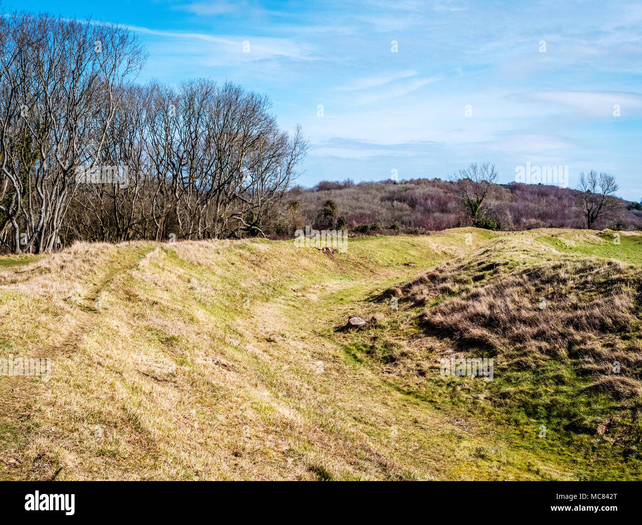 Perimeter bank and ditch at Cadbury Camp an iron age fortification in ...
