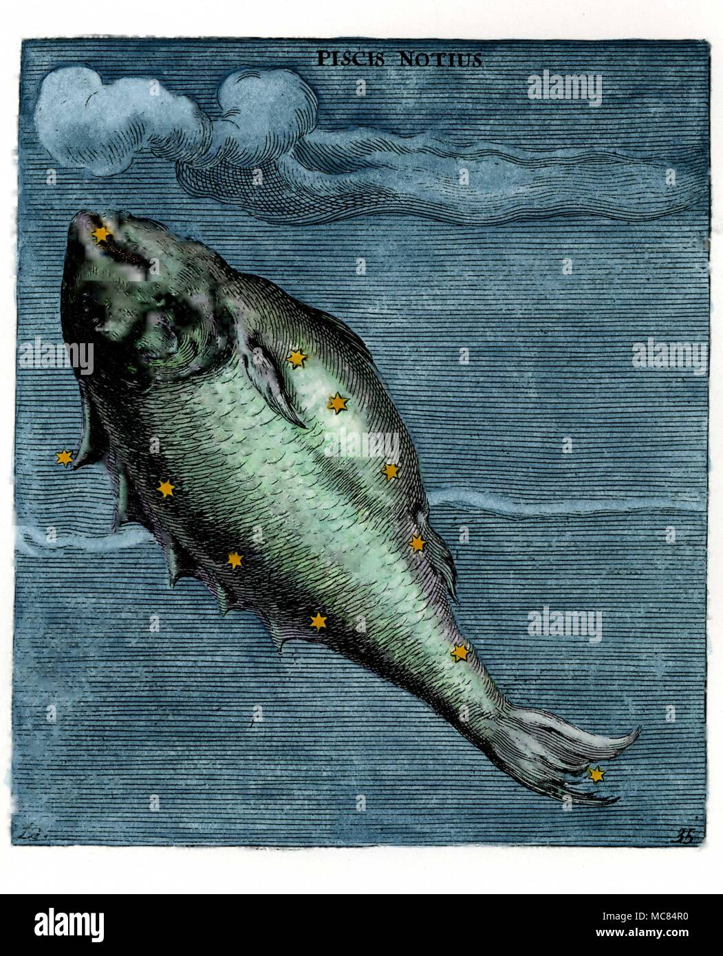 Fish constellation hi-res stock photography and images - Alamy