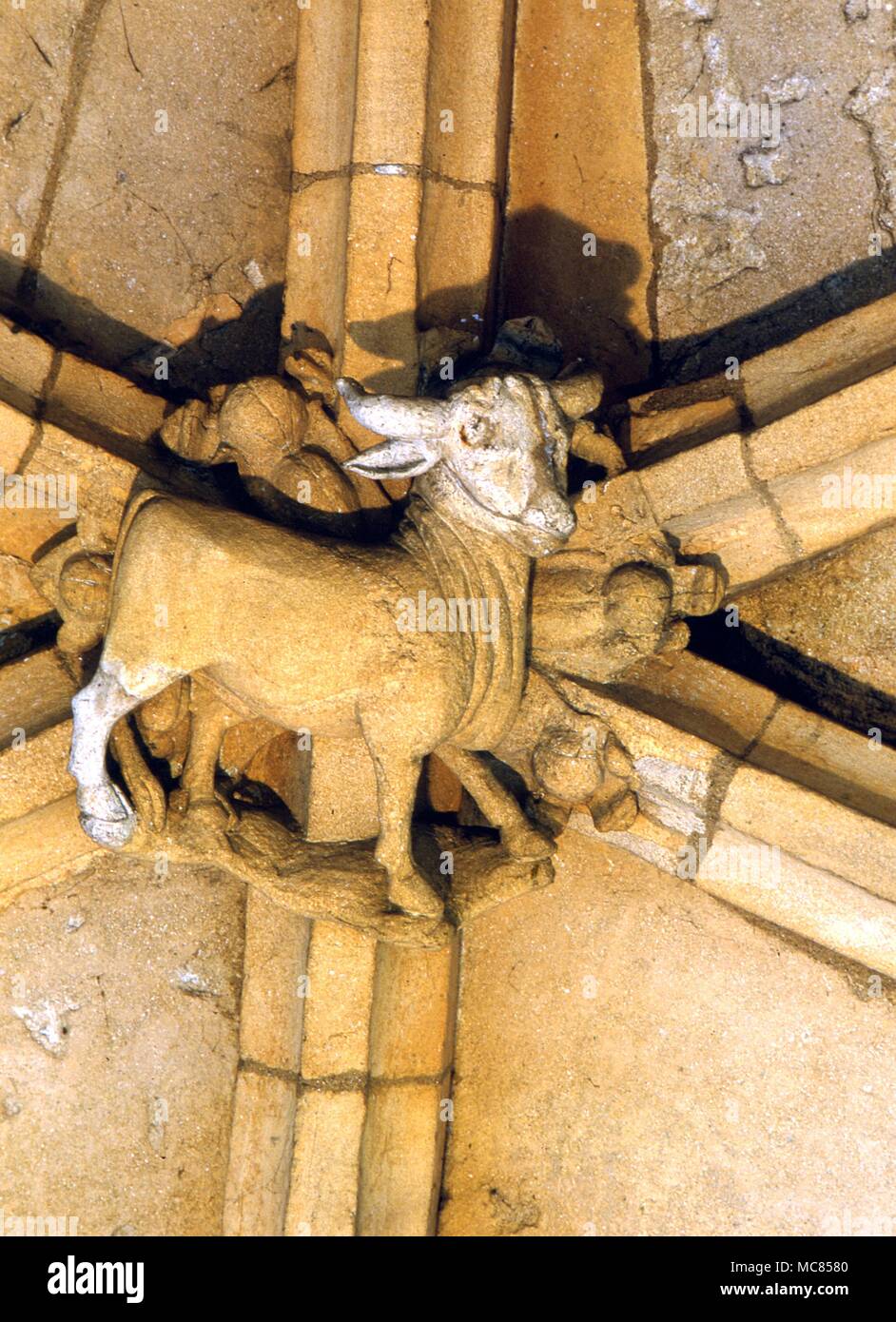 Astrological sites, Oxford Image of Taurus in the Merton Zodiac, in the ...