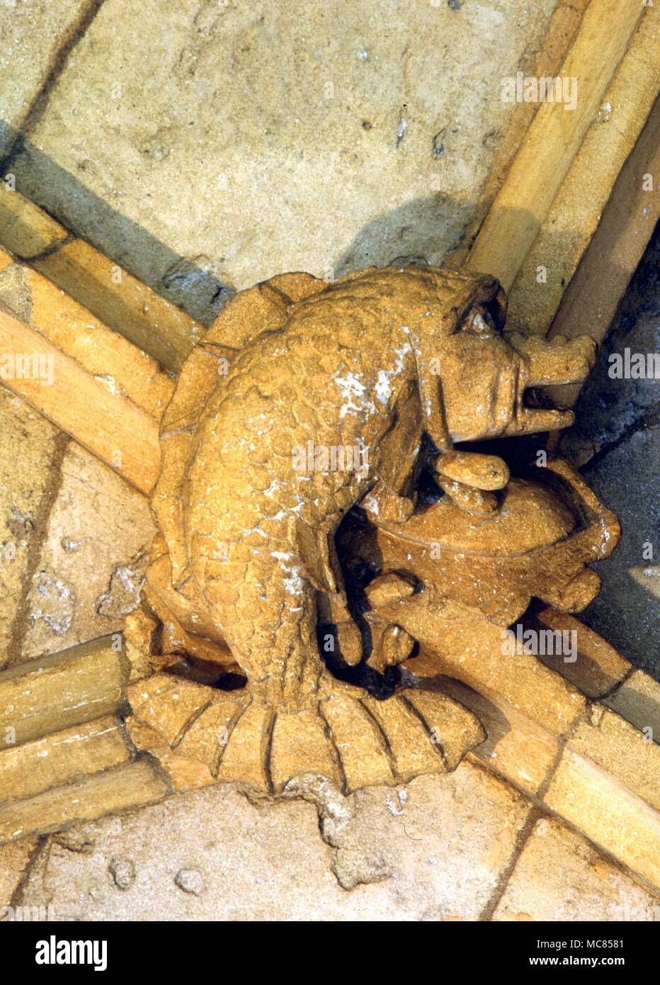 Astrological sites, Oxford Image of Pisces in the Merton Zodiac Merton ...