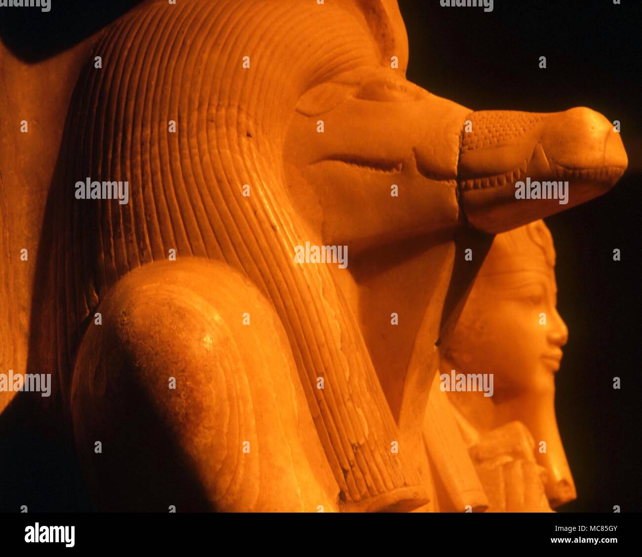 Sebek hi-res stock photography and images - Alamy