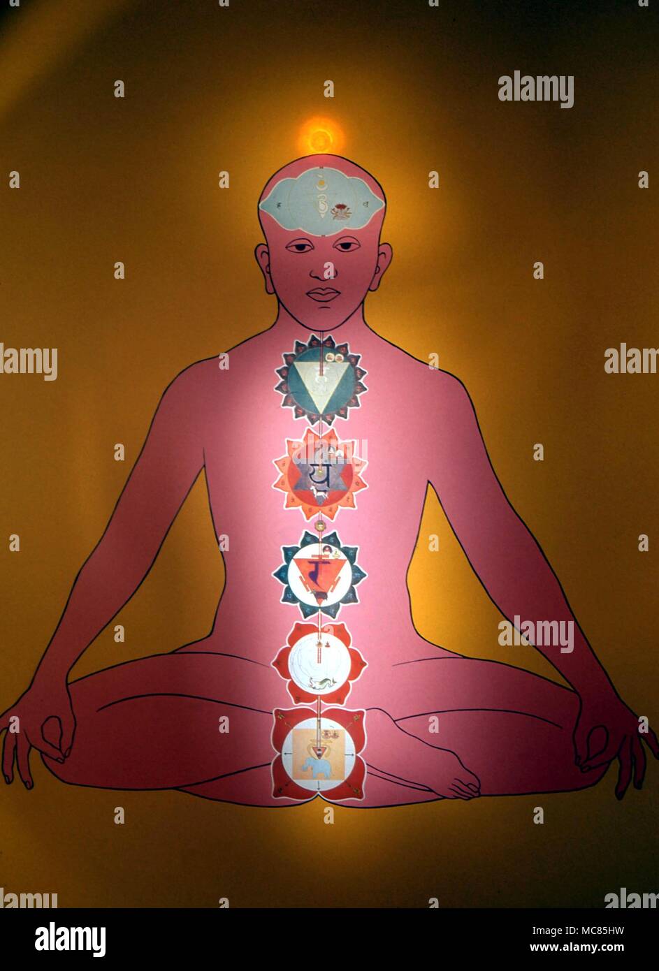 The seven chakras, symbolically represented as flowers, on the subtle ...