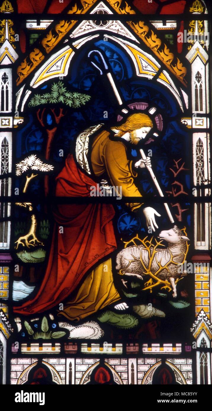Sheep and stained glass window hi-res stock photography and images - Alamy
