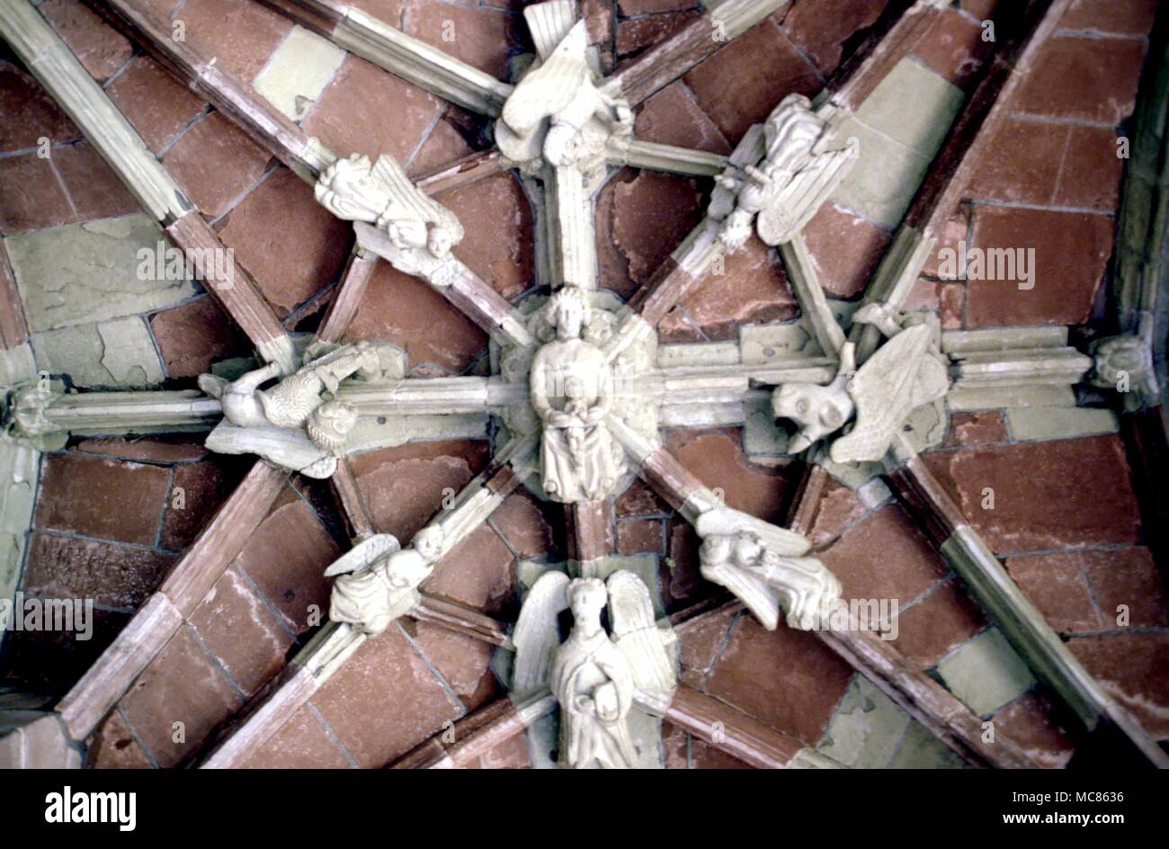 Gospel Of Matthew Lion