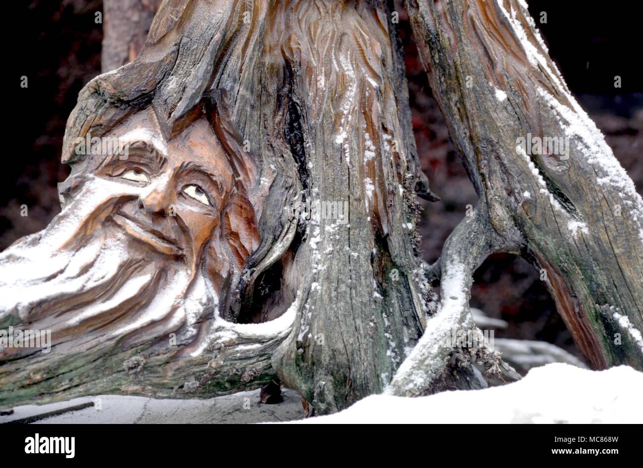 ELEMENTALS Woodcarving face of elemental, from single tree root. A ...