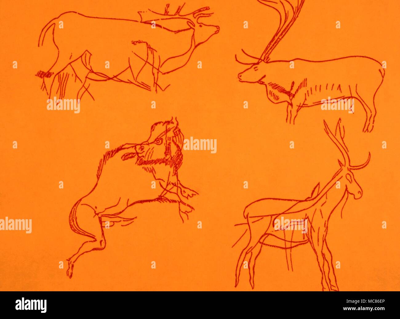 CAVE PAINTINGS Prehistoric cave drawings (artwork) of Reindeer, a ...