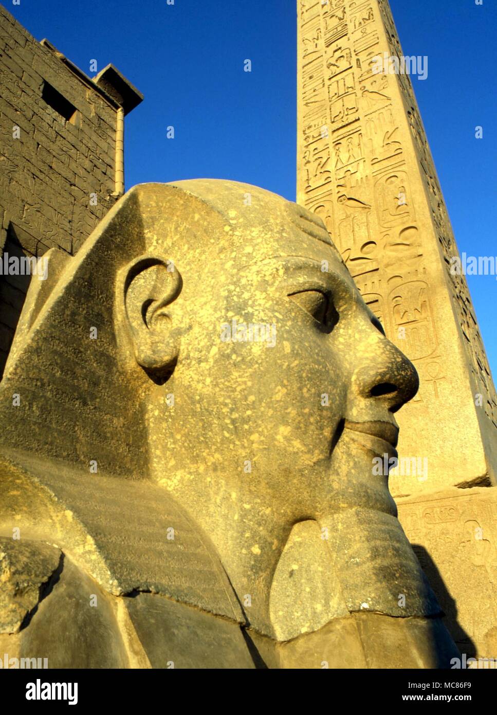 Head egypt hi-res stock photography and images - Alamy