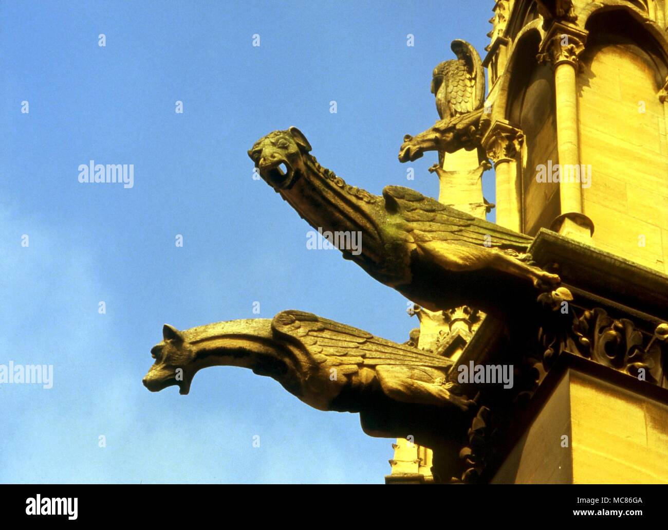 GARGOYLE Gargoyles on the facade of the cathedral at Metz, Medieval ...