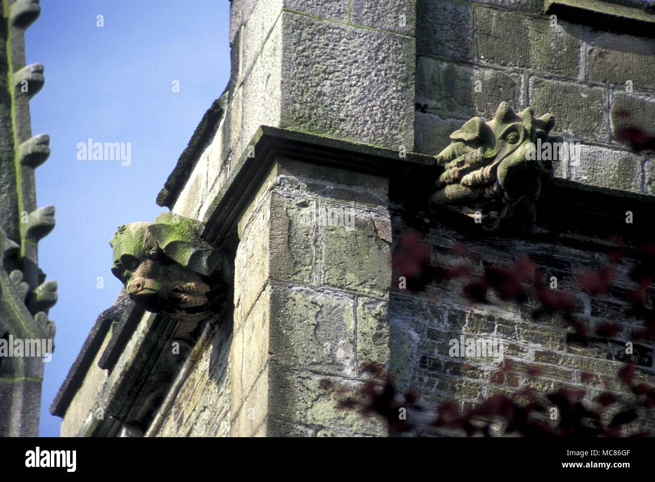 GARGOYLE Gargoyle on the tower of St Petroc's church, Bodmin Stock ...