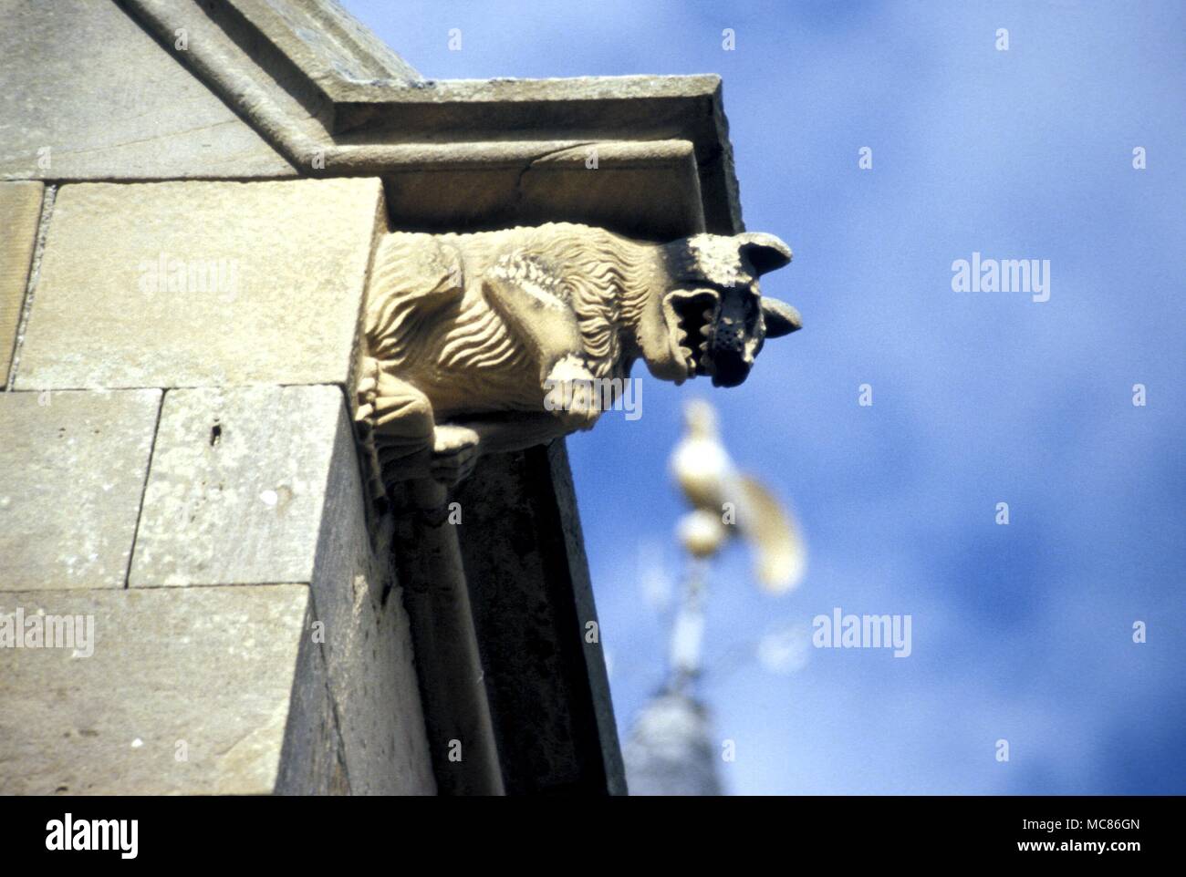GARGOYLE On the south wall of Dornoch Cathedral, Scotland Stock Photo ...