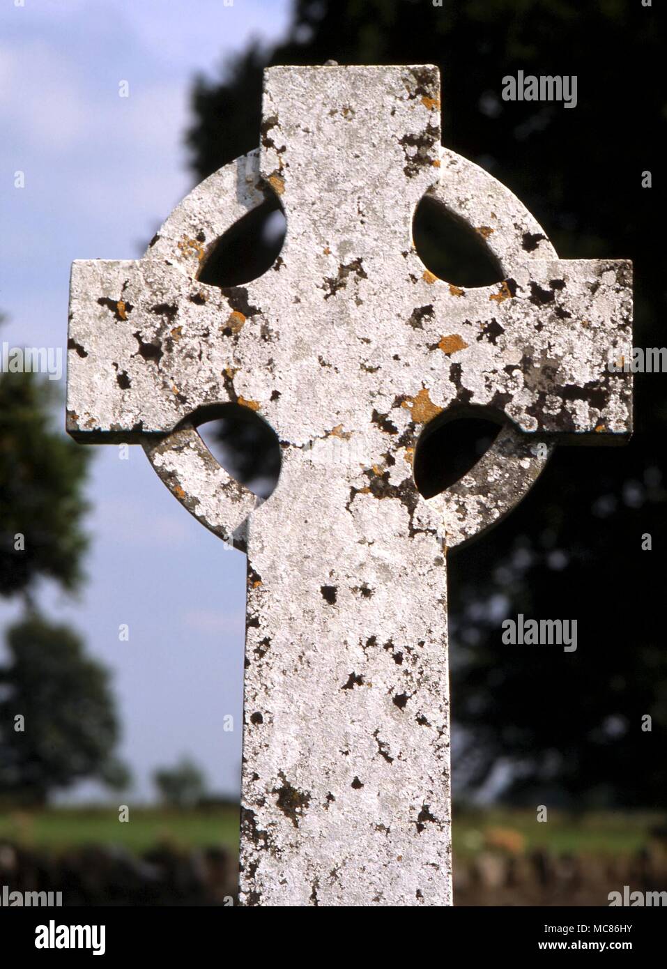 CELTIC Head of simple Celtic Cross in the chruchyard of Rathmore chruch ...