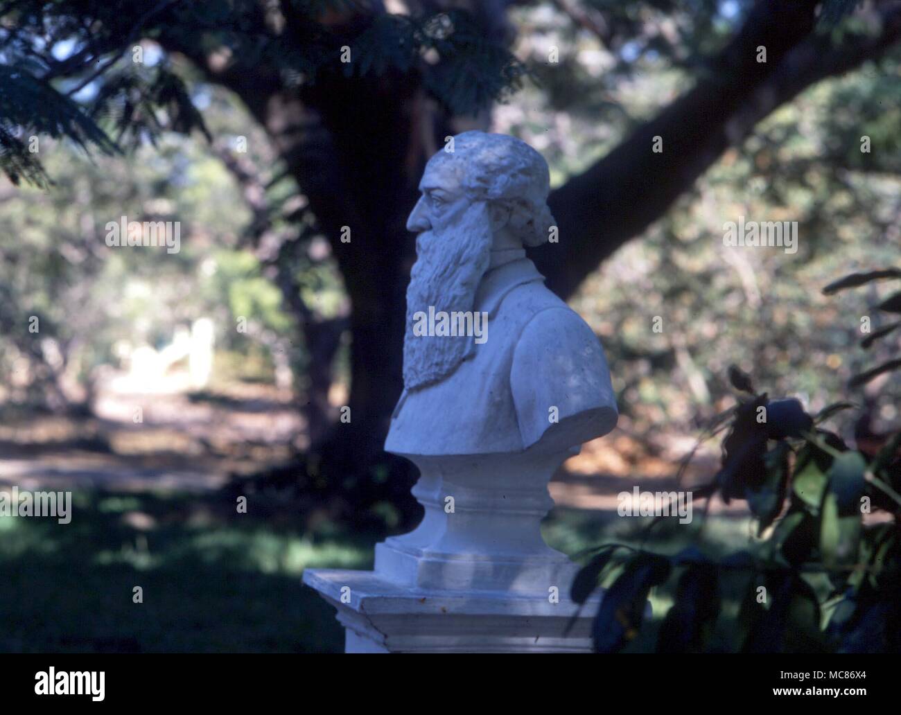Theosophy Bust of the Theosophist Henry Steel Olcott, in the garden of ...