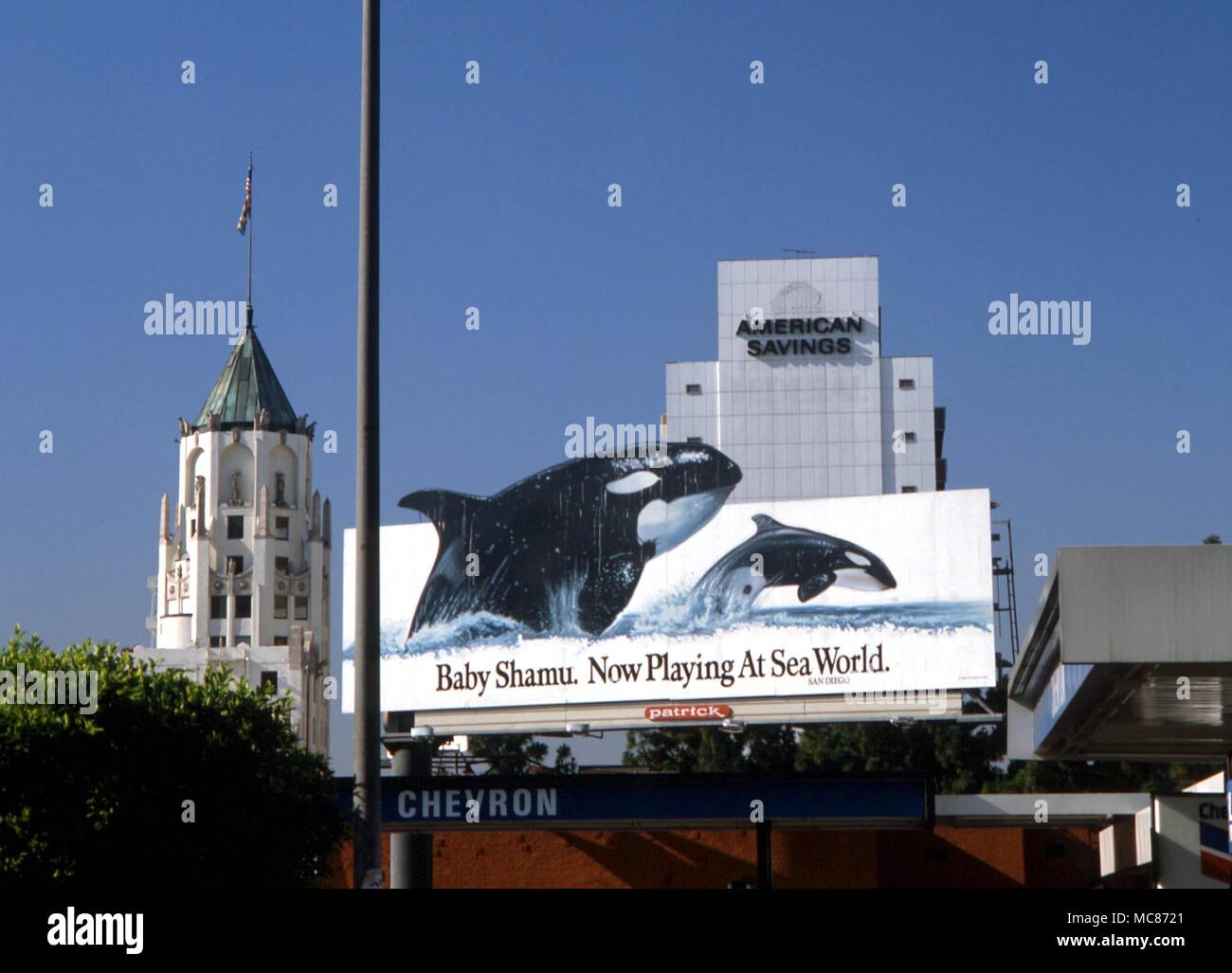 Whales on a billboard display in Hollywood, USA Stock Photo - Alamy