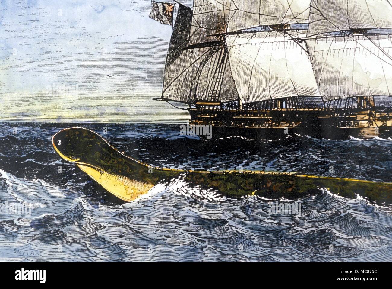 MONSTERS sea monster 19th century engraving showing the sea-serpent ...