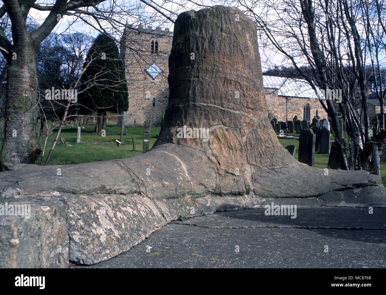 STRANGE PHENOMENA The stump of a fossilised tree, some 250 million ...