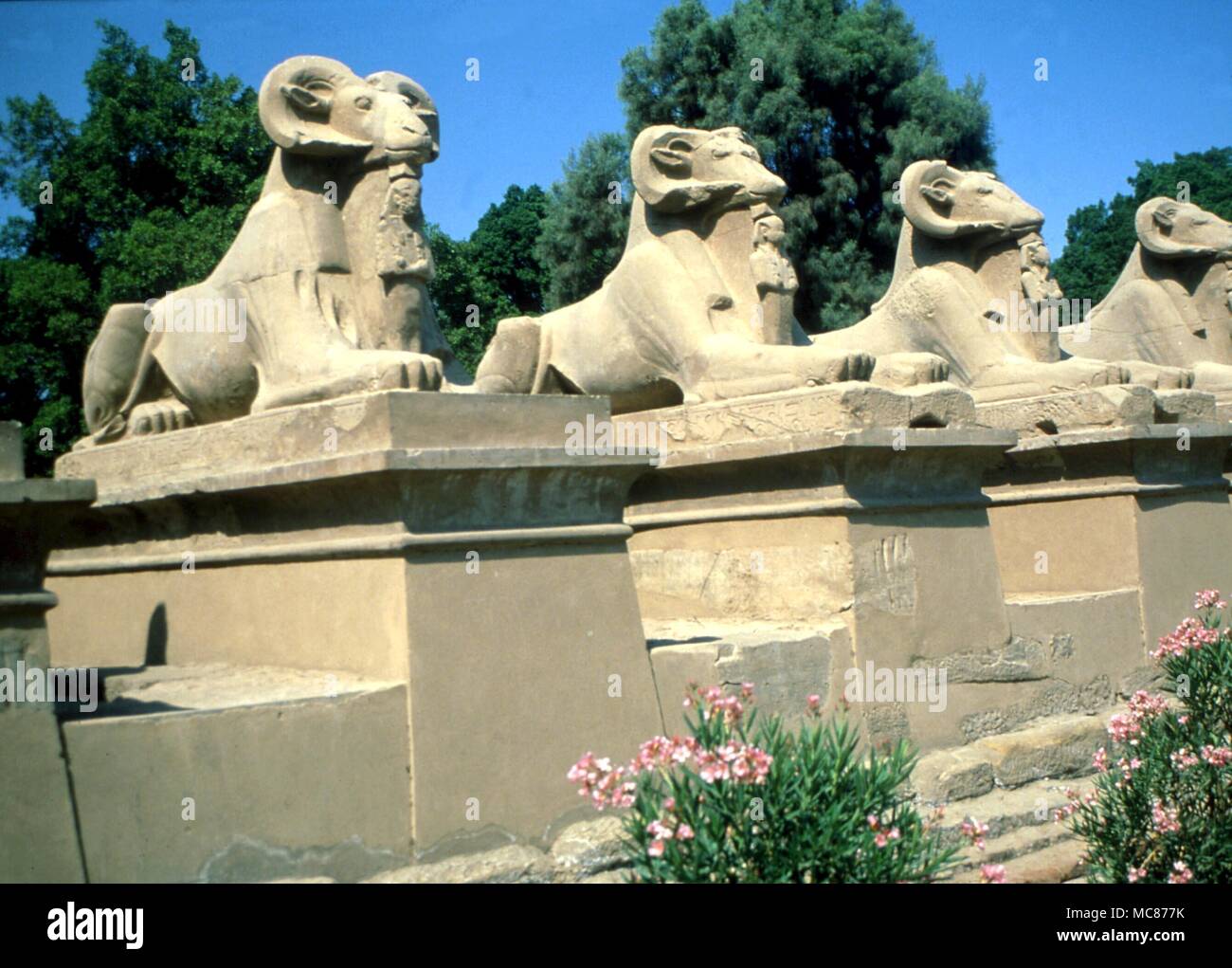 Temple Amun Ra High Resolution Stock Photography and Images - Alamy