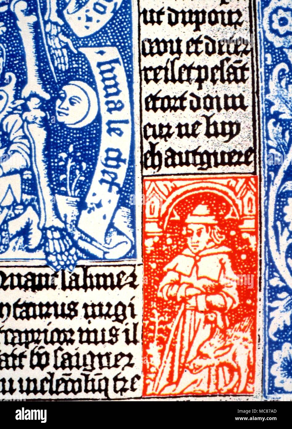 Earth pig hi-res stock photography and images - Alamy