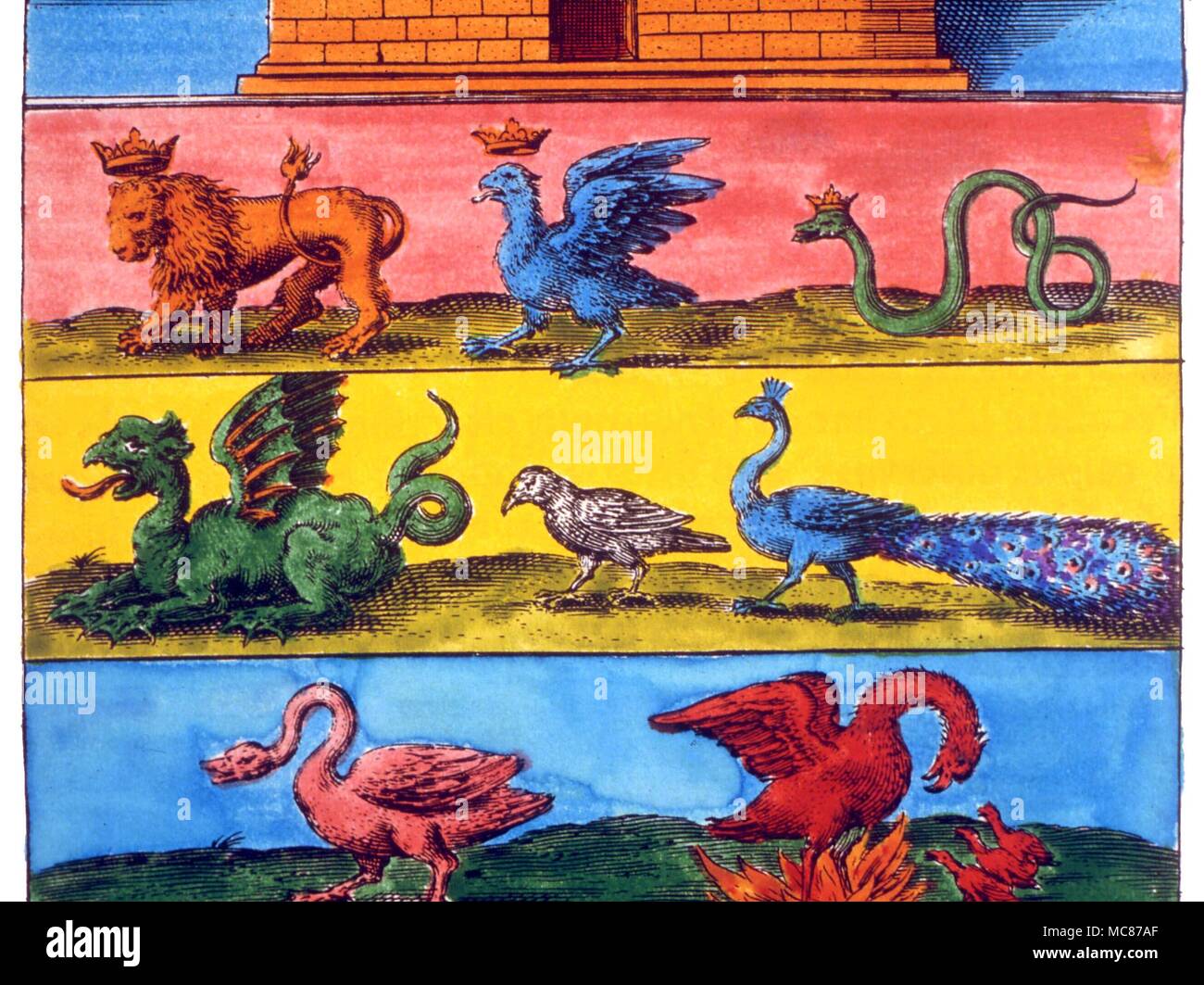 Peacock, among a number of other arcane animal and bird symbols, from ...