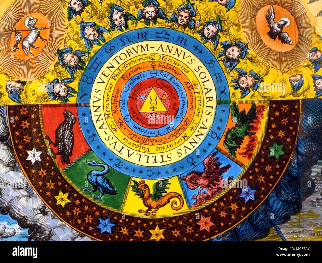 Animals and birds hi-res stock photography and images - Alamy