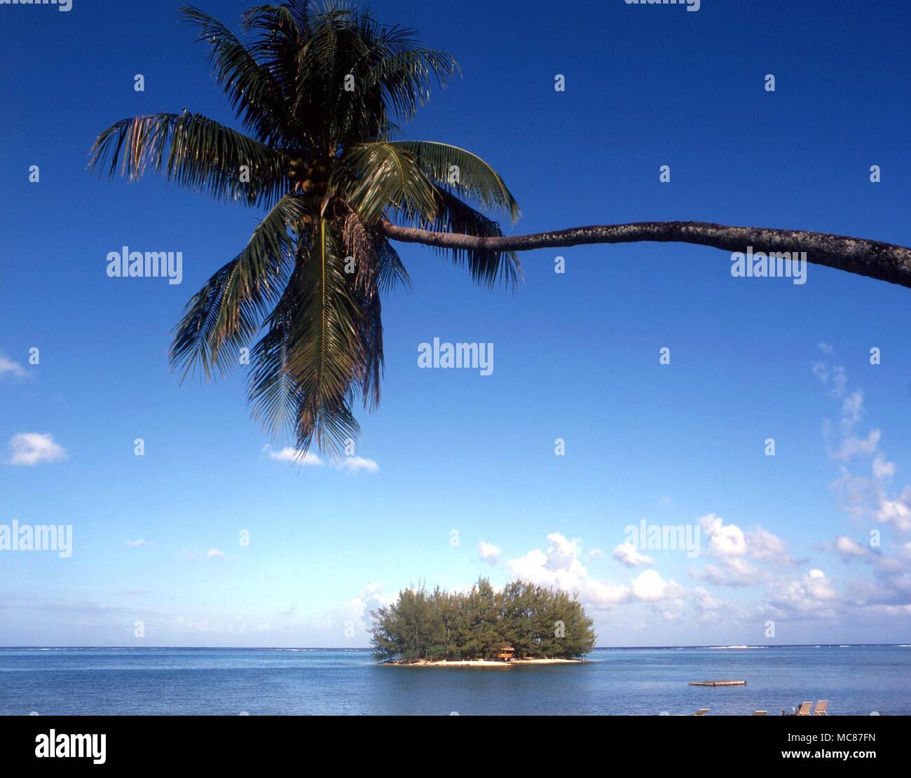 TROPICAL ISLANDS Small island off Morea, itself off Tahiti Stock Photo ...