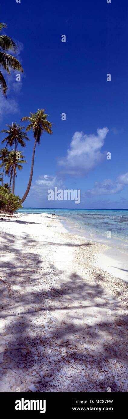 TROPICAL ISLANDS French Polynesia. Beach at Rangiroa Stock Photo - Alamy