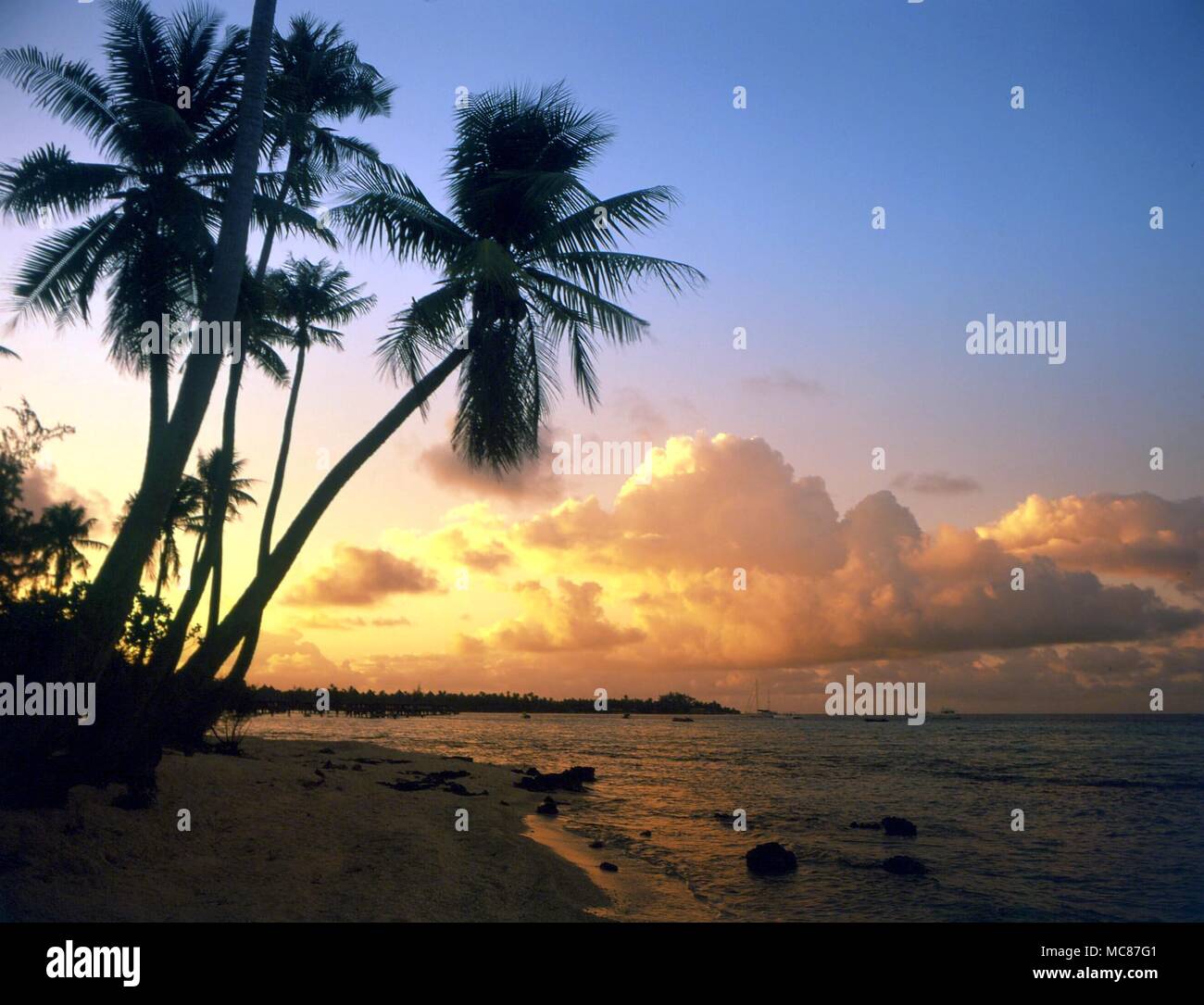 TROPICAL ISLANDS French Polynesia. Beach at Rangiroa Stock Photo - Alamy