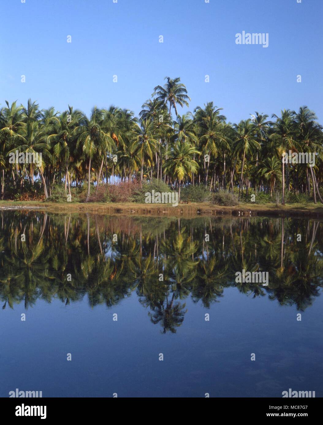 TROPICAL ISLANDS Laccadives. Bangaram island, salt water lake. The ...