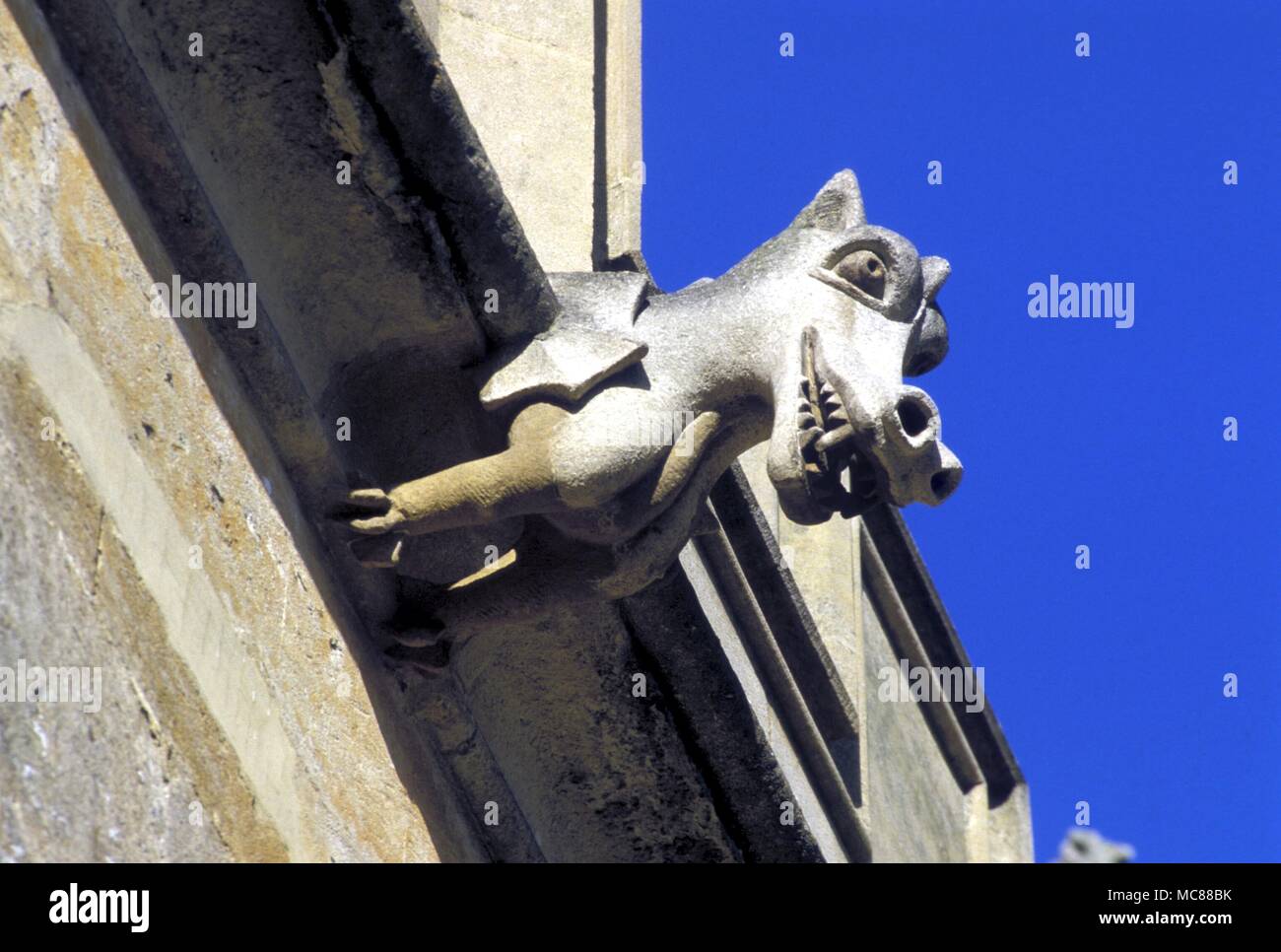 GARGOYLE On the south wall of the parish church at Fairford Stock Photo ...