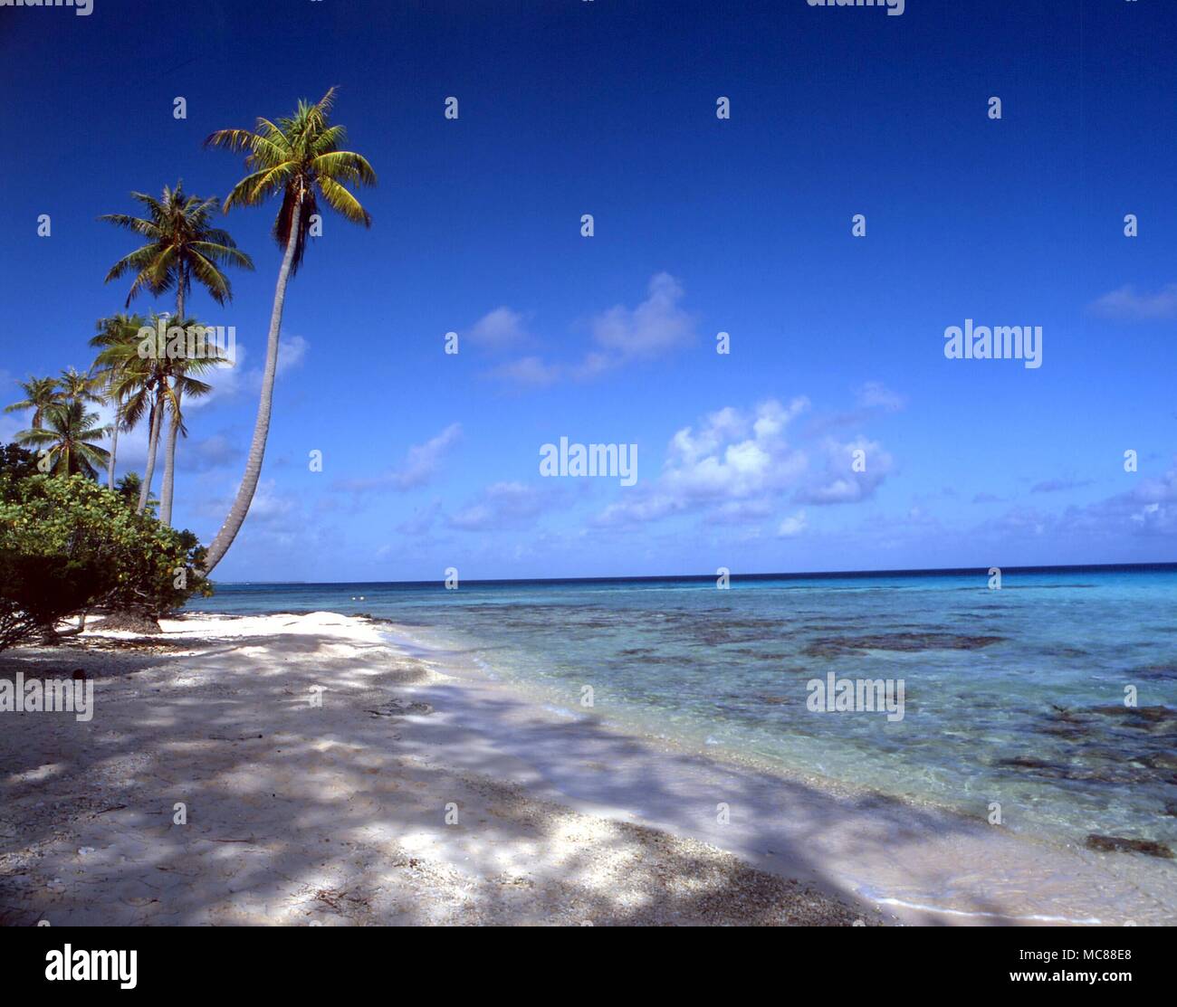 TROPICAL ISLANDS French Polynesia. Beach at Rangiroa Stock Photo - Alamy