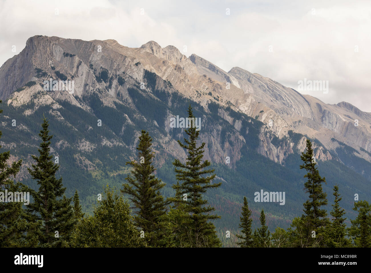 Roche miette jasper national park hi-res stock photography and images ...