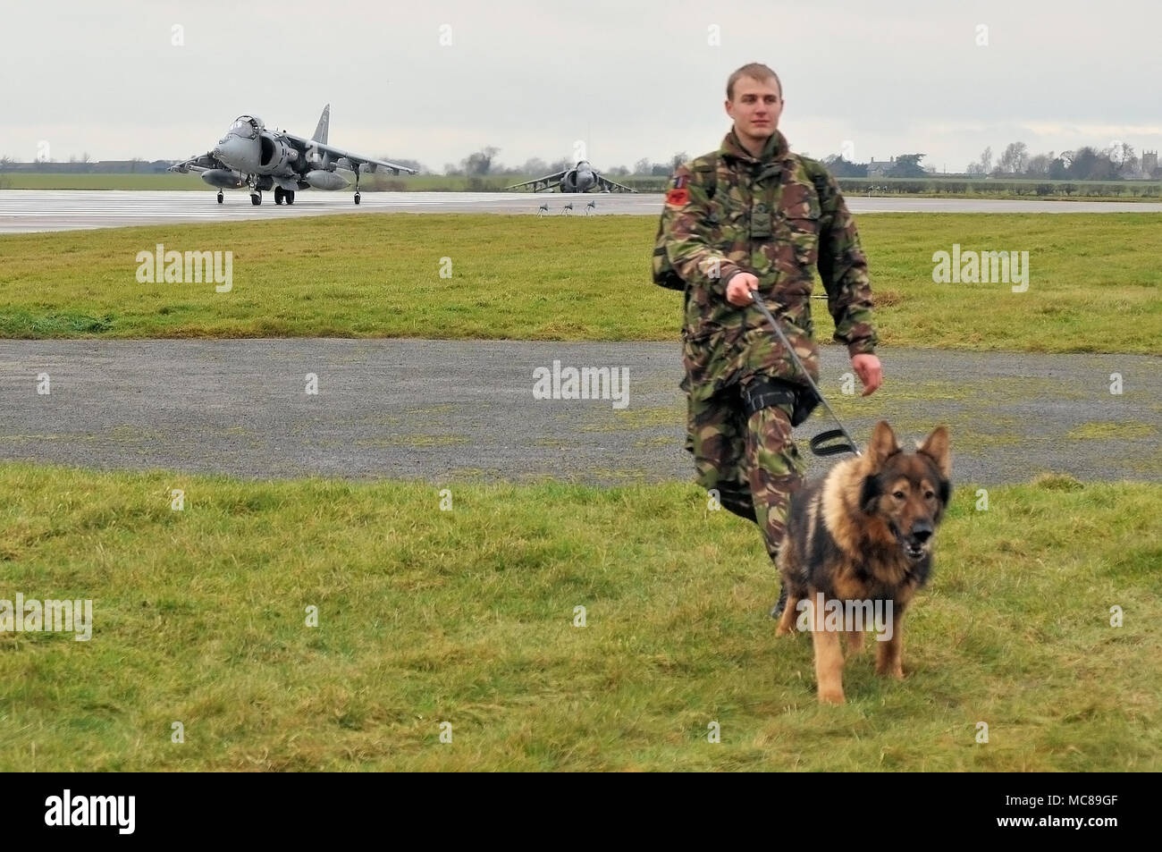 Military German Shepherd Jumping Out Of Plane